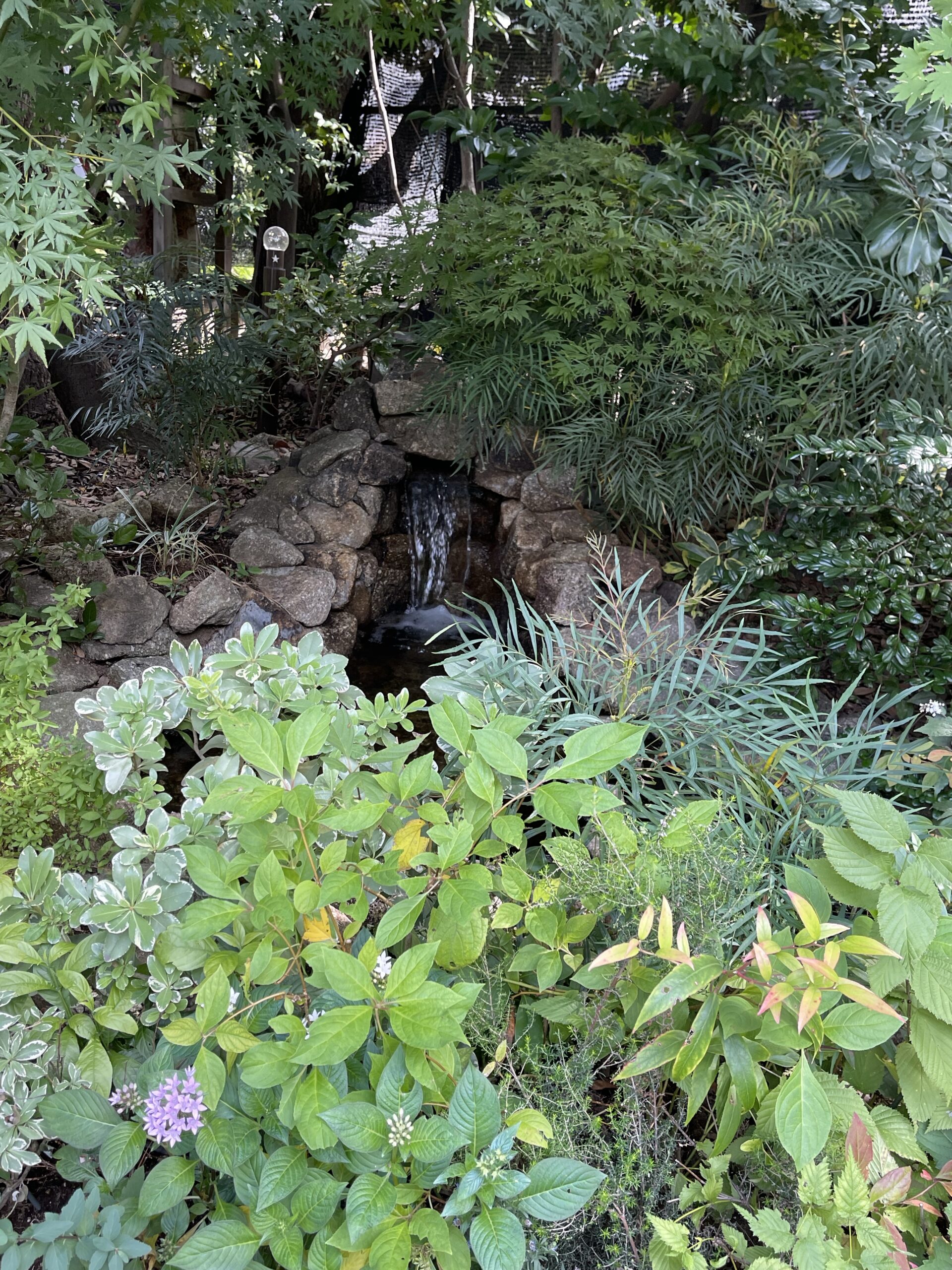 Img 2315 jpg Img 2315 jpg